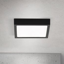Orion LED-Deckenlampe Disc, schwarz L&auml;nge 14 cm, CCT Metall