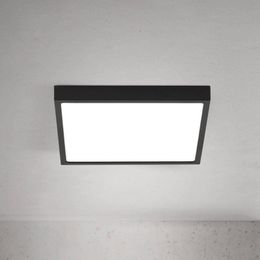 Orion LED-Deckenlampe Disc, schwarz L&auml;nge 24 cm, CCT Metall