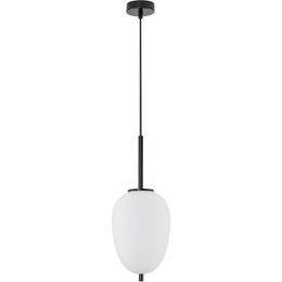 NOVA LUCE H&auml;ngeleuchten &raquo;LATO&laquo; E14 1 Stk. Ohne Leuchtmittel Schwarz