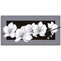 Artland Wandbild »Weiße Orchideen auf grau« Blumen 1 Stk. tlg. als Alubild, Outdoorbild, Leinwandbild, Poster, Wandaufkleber Farbe Bild(er): schwarz