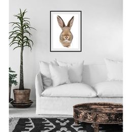 queence Bild &raquo;Algot&laquo; Foto Haustiere Kunst 1 Stk. tlg. HD Premium Poster-Druck inkl. Holzrahmen Farbe Rahmen: schwarz + Farbe Bild(er): braun