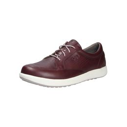 Joya Schn&uuml;rschuh BOSTON DARK BROWN in braun | Gr.: 46 1/3