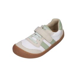 KOEL Sneaker Low Dylan Leather in bunt | Gr.: 29