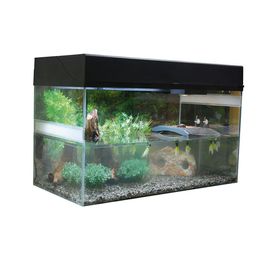 LUCKY REPTILE Terrarium Starter Kit 80 cm "Wasserschildkröte" schwarz