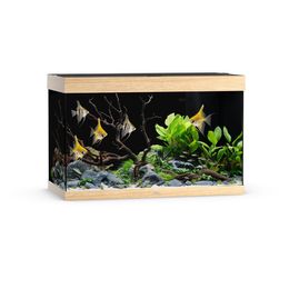 JUWEL Rio 290 LED Aquarium Helles Holz