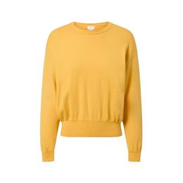 CASH-MERE.CH Bio Baumwolle Oversize Style Rundhals Pullover in Zitronengelb | Gr.: S