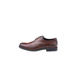 Lloyd Lace-Up Shoes male Brown size 9