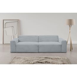 Sofa WERK2 "Zeus 3-Sitzer, Big-Sofa, Breite 256cm, Tiefe 105cm, modern & bequem", grau, B:256cm H:70cm T:105cm, 90% Polyester, 10% Nylon, Sofas, 2-Sitzer-Sofa, Curvy Trend 3-Sitzer mit urbaner Optik