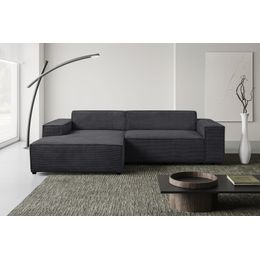 Ecksofa WERK2, B:268cm H:70cm T:163cmanthrazit, 90% Polyester, 10% Nylon, Wohnzimmer, Sofas, "Trento, elegant & zeitlos, Breite 268cm, pflegeleichte