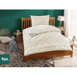 f.a.n. Naturhaarbettdecke FAN "Gobi, Bettdecken f&uuml;r Sommer und Winter, temperaturausgleichend", beige (natur), B:135cm L:200cm, Bezug: 100% Baumwolle. F&uuml;llung: 97% Kamelhaar, 3% sonstige Fasern, Bettdecken, Klimatisierende Kamelhaar-F&uuml;llung - Made in Germany