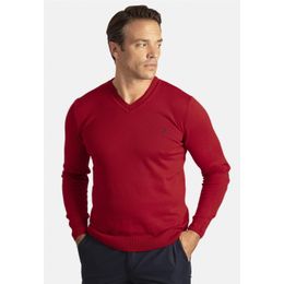 Strickpullover SIR RAYMOND TAILOR "Los Angeles", Herren, Gr. XL, rot (bordeaux, meliert), 100% Baumwolle, unifarben, normal, V-Ausschnitt, Pullover Strickpullover, mit klassischem V-Ausschnitt