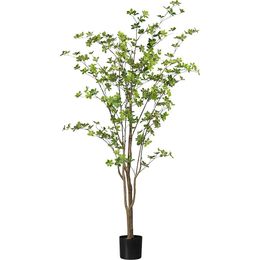 Louisiana-Baum, im Kunststofftopf, mit PU-Stamm, H&ouml;he 1800 mm kaiserkraft