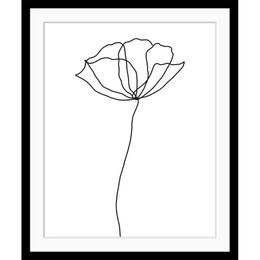 queence Bild &raquo;Susanne&laquo; Blumen Blumenbilder Kunst Pflanzen Pflanzenbilder Schwarz-Wei&szlig; Farbe Rahmen: schwarz