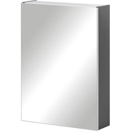 Spiegelschrank Schildmeyer "Basic", grau (anthrazit), B:50cm H:70,7cm T:15,8cm, FSC-zertifizierter Holzwerkstoff, Schr&auml;nke, Spiegelschrank, Breite 50 cm, 1-t&uuml;rig, Glaseinlegeb&ouml;den, Made in Germany