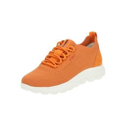 Geox Sneaker in Orange | Gr.: 38