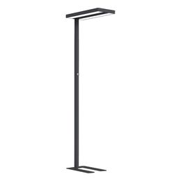 LED-Stehleuchte Lara Up & Down, dimmbar, H 1950 mm, schwarz kaiserkraft