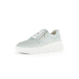 Gabor Sneaker low in gr&uuml;n | Gr.: 38