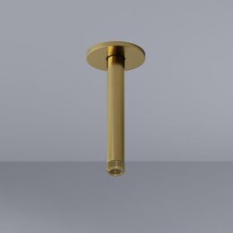 Steinberg Sensual Rain Brausearm, 100 1571 BG,
