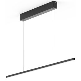 Evotec LED Pendelleuchte "eXiro", Energieeffizienz: F (A-G), schwarz, H: 1cm, 1 Stk., Leuchten, dezent, Made in Germany