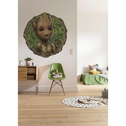 Wandtattoo Komar, bunt, Folie, Kinderzimmer, Wandtattoos, "selbstklebendes Vlies - Groot Little Twig - Gr&ouml;&szlig;e 125 x 125 cm", rund und selbstklebend