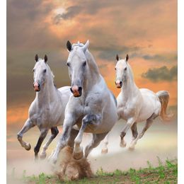 papermoon Fototapete "White Stallions in Dust", B/L: 2,5m x 1,86m, Bahnen: 5 Stk., bunt, Tapeten