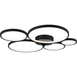 Trio LEUCHTEN LED Deckenleuchte "Rondo", 5, H: 5cm, 1 Stk., schwarz, Wohnzimmer, Leuchten, Decken- oder Wandlampe, LED warmwei&szlig; 3000K dimmbar per