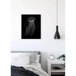 Komar Bild "Jellyfish Black", B/H/T: 50cm x 70cm, Tiere, 1 Stk., bunt, Wohnzimmer, Bilder, Wandbild zur Dekoration - ohne Rahmen