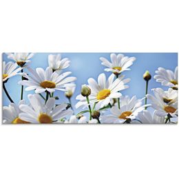 Glasbild Artland, B:125cm H:50cm, wei&szlig;, Glas, Wohnzimmer, Bilder, "Blumen - Margeriten", in verschiedenen Gr&ouml;&szlig;en