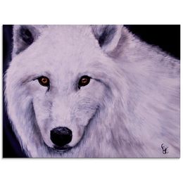 Glasbild Artland, B:60cm H:45cm, wei&szlig;, Glas, K&uuml;che, Bilder, "Wei&szlig;er Wolf", in verschiedenen Gr&ouml;&szlig;en