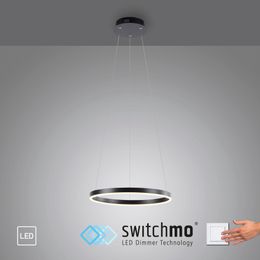JUST LIGHT Pendelleuchte "RITUS", 1, Ø 3,9cm, 1 Stk., grau, Esszimmer, Leuchten, LED, dimmbar, Switchmo
