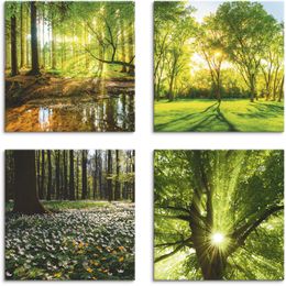 Leinwandbild Artland, B:30cm H:30cm, gr&uuml;n, Leinwand, MDF, Wohnzimmer, Bilder, "Wald Bach Fr&uuml;hling Windrosen Sonne Baum", 4er Set, verschiedene Gr&ouml;&szlig;en