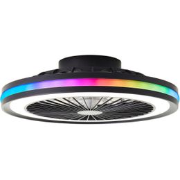 Brilliant LED Deckenleuchte "Palmero", Ø 46cm H: 13cm, 1 Stk., schwarz, Wohnzimmer, Leuchten, mit Ventilator, Ø 47 cm, IC-RGB, 5000 lm, dimmbar,