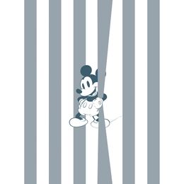 Komar Vliestapete "Digitaldruck Vlies - Mickey Offbeat - Gr&ouml;&szlig;e 200 x 250 cm", B/L: 200mm x 250mm, Rollen:, bunt, Tapeten, Kinderzimmer