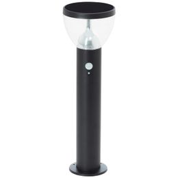 LED Sockelleuchte Brilliant, H:52cm Ø:16cm, schwarz, Leuchten, "Tulip", LED Außenleuchte, Solar, 52 cm, 430 lm, 3000 K, Edelstahl, schwarz