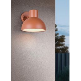 Trio LEUCHTEN Au&szlig;en-Wandleuchte "ELBE, Fassadenbeleuchtung Downlight, exkl 1x E27 max 10W, Outdoor IP44", 1, &Oslash; 20cm H: 18,5cm, 1 Stk.apricot,