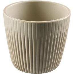 APS Schale "6er Set Dipsch&auml;lchen "LINEO" &Oslash; 8,5 cm, H&ouml;he ca. 7,5 cm, 180 ml", &Oslash; 8,5cm, beige, Sch&uuml;sseln, ideal f&uuml;r die Pr&auml;sentation von Dips, Saucen