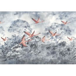 Komar Vliestapete "Digitaldruck Vlies - Flamingos in the Sky - Gr&ouml;&szlig;e 400 x 280 cm", B/L: 400m x 280m, Rollen: 1, bunt, Wohnzimmer, Tapeten,