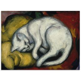 Glasbild Artland, B:60cm H:45cm, wei&szlig;, Glas, K&uuml;che, Bilder, "Die weisse Katze. 1912", in verschiedenen Gr&ouml;&szlig;en