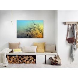 A.S. Cr&eacute;ation Leinwandbild A.S. CR&Eacute;ATION, B:90cm H:60cm, bunt, Holz, Stahl, Wohnzimmer, Bilder, "Flying Dandelion", Pusteblume Keilrahmen Leinwand-Bild Wohnzimmer