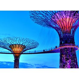 papermoon Fototapete "Singapore Bay Supertrees", B/L: 2,5m x 1,86m, Bahnen: 5 Stk., bunt, Tapeten