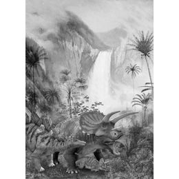 Komar Vliestapete "Digitaldruck Vlies - Jurassic Waterfall - Größe 200 x 280 cm", B/L: 200mm x 280mm, Rollen:, schwarz, Wohnzimmer, Tapeten,