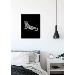 Komar Bild "Iguana Black", B/H/T: 50cm x 70cm, Tiere, 1 Stk., bunt, Wohnzimmer, Bilder, Wandbild zur Dekoration - ohne Rahmen