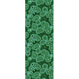 queence Vinyltapete "Leantos", B/L: 0,9m x 2,5m, gr&uuml;n, Tapeten, 90x250cm, selbstklebend, kinderleichte Anbringung,, Sticker