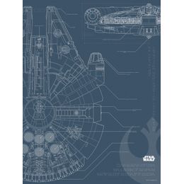 Komar Bild "Star Wars Blueprint Falcon", B/H/T: 30cm x 40cm, Star Wars, 1 Stk., schwarz-weiß, Wohnzimmer, Bilder, Wandbild zur Dekoration im