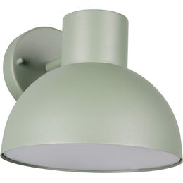 Trio LEUCHTEN Au&szlig;en-Wandleuchte "ELBE, Fassadenbeleuchtung Downlight, exkl 1x E27 max 10W, Outdoor IP44", 1, &Oslash; 20cm H: 18,5cm, 1 Stk., gr&uuml;n,