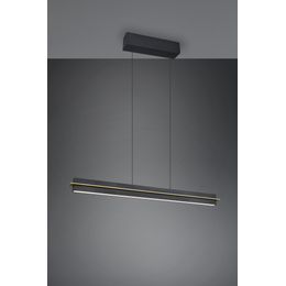 Trio LEUCHTEN LED Pendelleuchte "EMERSON, LED H&auml;ngeleuchte h&ouml;henverstellbar, 4-Stufen Touch Dimmer", 1, H: 150cm, 1 Stk., schwarz, Leuchten,