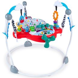 Baby Einstein Baby Spielcenter "Airplane Adventure", bunt, Kunststoff, Metall, B:94cm H:86cm T:94cm, Motorikspielzeug, Mit über 20 Melodien,