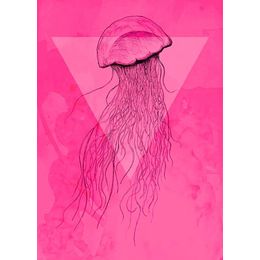 Komar Bild "Jellyfish Pink", B/H/T: 50cm x 70cm, Tiere, 1 Stk., bunt, Wohnzimmer, Bilder, Wandbild zur Dekoration - ohne Rahmen