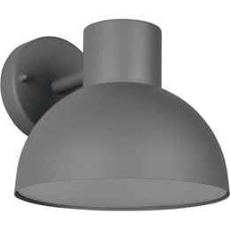 Trio LEUCHTEN Au&szlig;en-Wandleuchte "ELBE, Fassadenbeleuchtung Downlight, exkl 1x E27 max 10W, Outdoor IP44", 1, &Oslash; 20cm H: 18,5cm, 1 Stk.anthrazit,