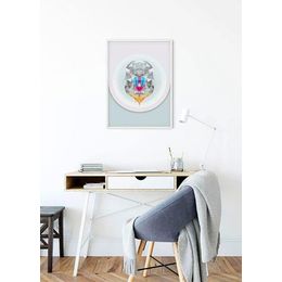 Komar Bild "Baboon", B/H/T: 50cm x 70cm, Tiere, 1 Stk., bunt, Wohnzimmer, Bilder, Wandbild zur Dekoration - ohne Rahmen